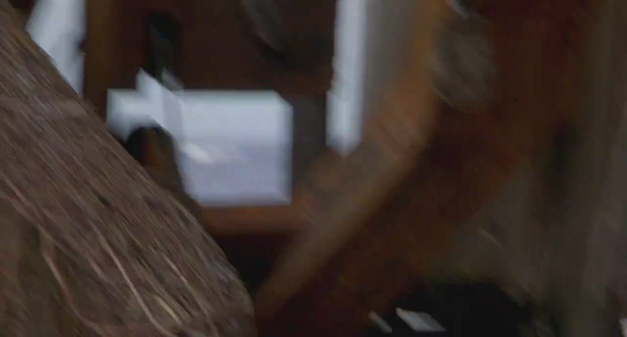 Naked Jeanne Tripplehorn In Waterworld